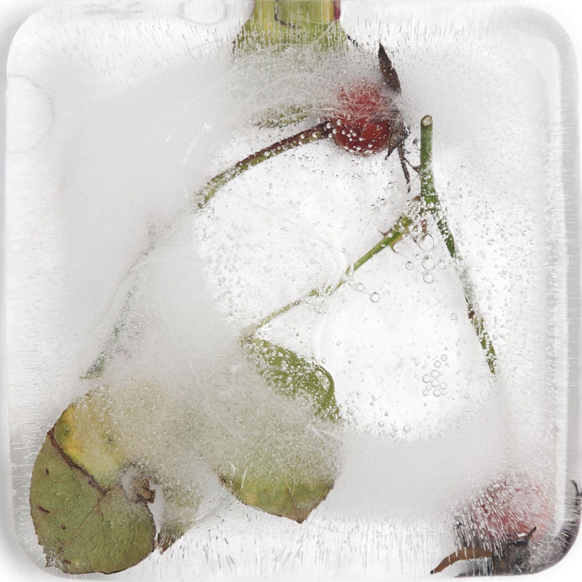 Frozen - Fakultät Gestaltung Würzburg