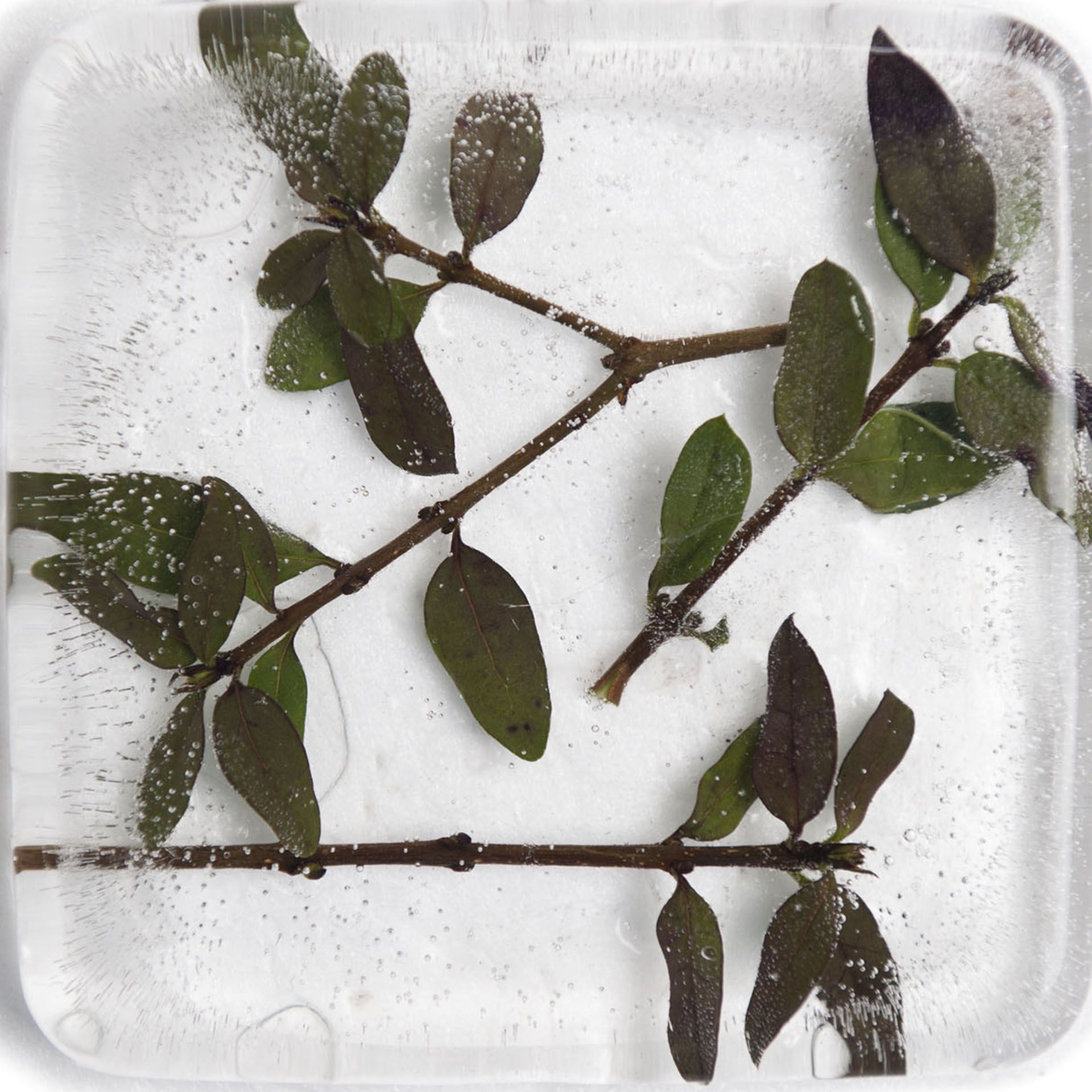 Frozen – Fakultät Gestaltung Würzburg