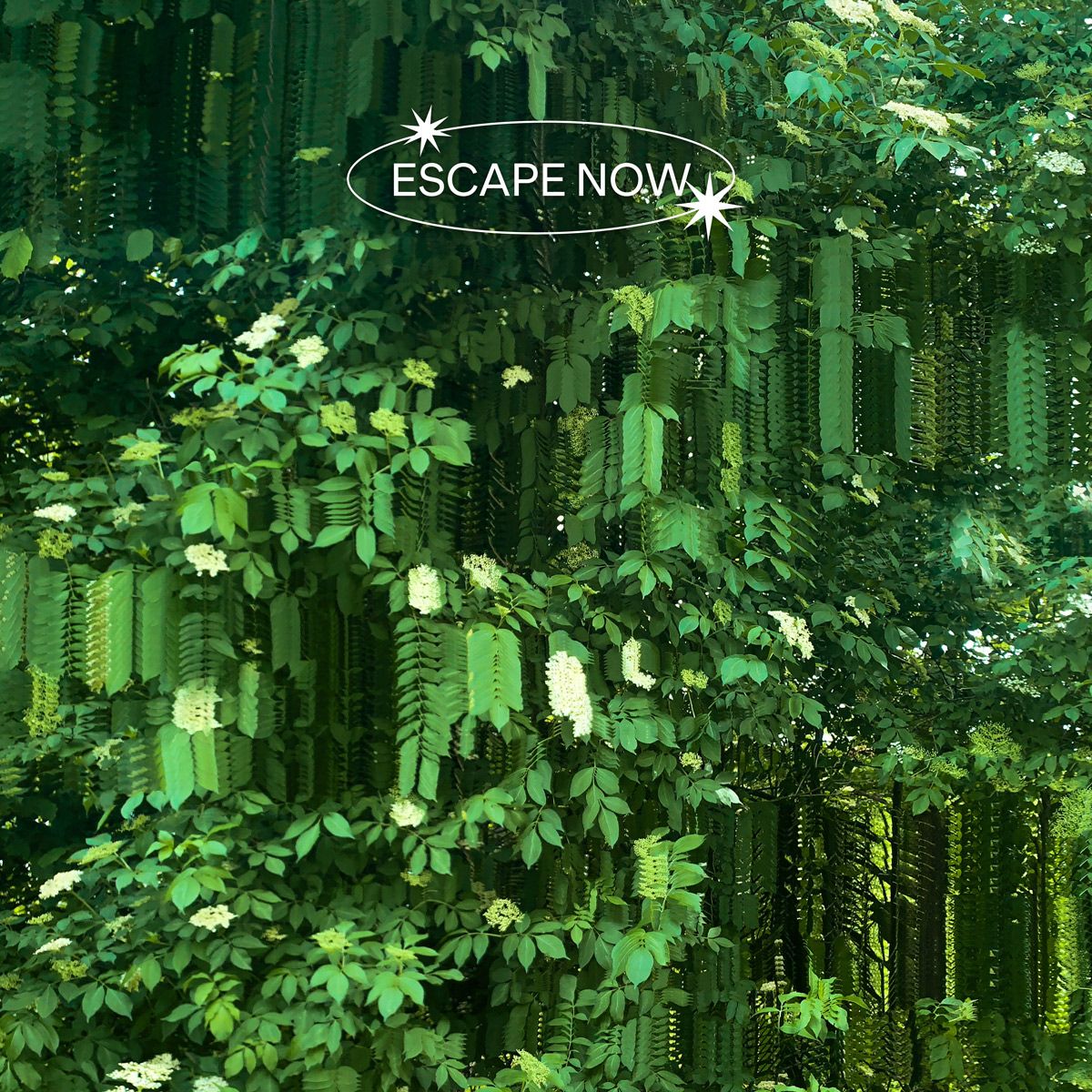 Escape Report - Fakultät Gestaltung Würzburg